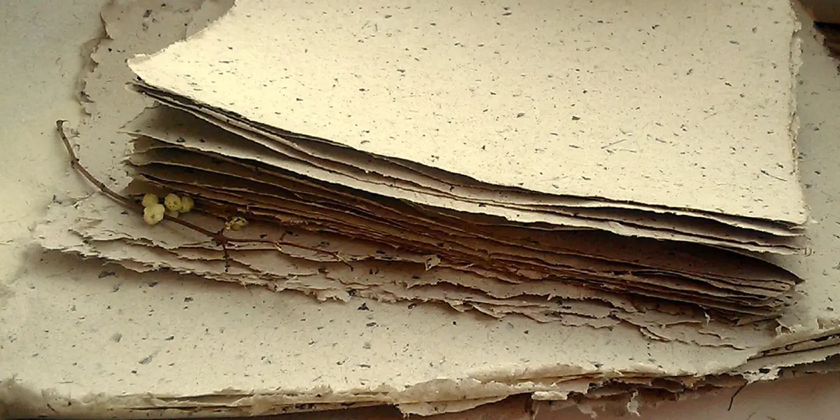 Packaging Ideas for Sale Bakery Items - The Custom Bakery Boxes